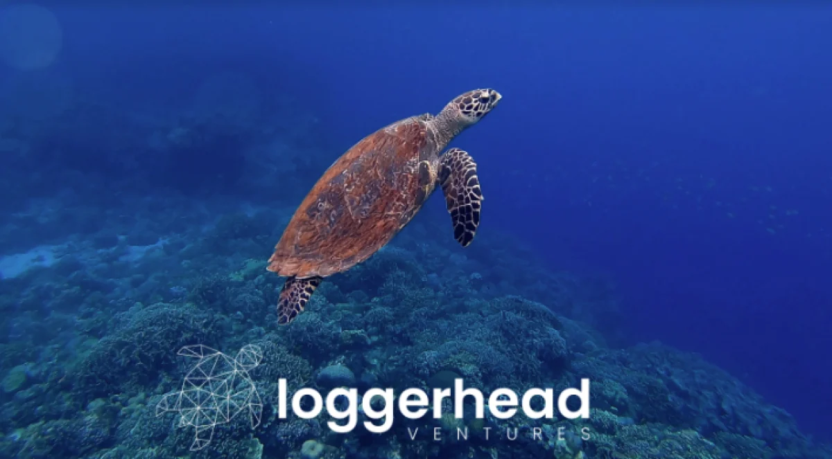 Loggerhead Ventures: Το fund με έδρα τη Θεσσαλονίκη επενδύει 10 εκατ. ευρώ σε ελληνικές startups