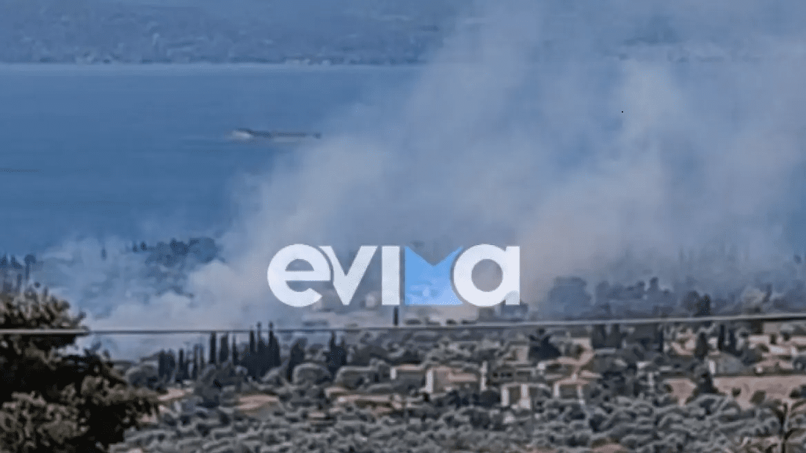 Φωτιά σε Ερέτρια και Αγία Μαρίνα Γραμματικού: Εστάλη 112, σηκώθηκαν ...
