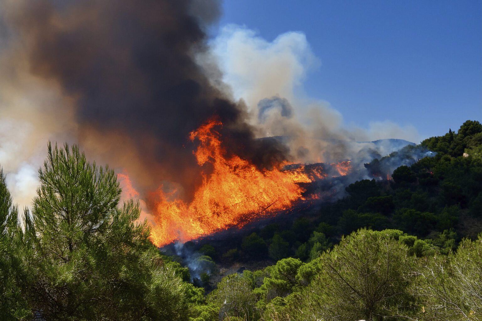 Πολιτική Προστασία: Πολύ υψηλός κίνδυνος πυρκαγιάς (κατηγορία 4) σε ...